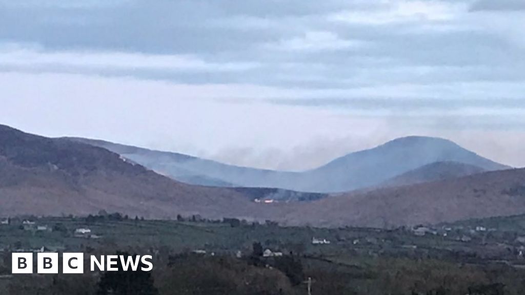 Mourne Mountains: Investigation after large gorse fire - BBC News