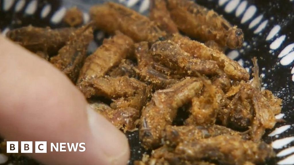 Cheshire bakery creates bread made with crickets - BBC News