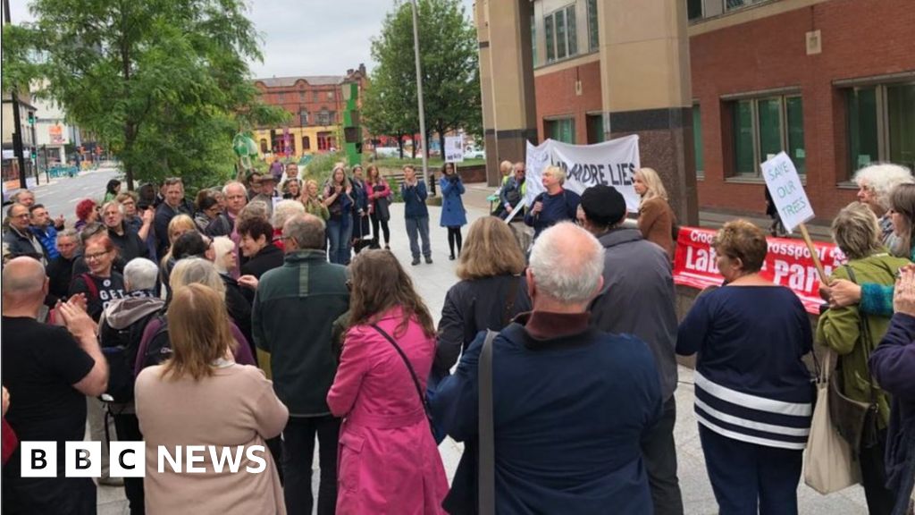 Two Sheffield tree protesters get suspended prison sentences - BBC News