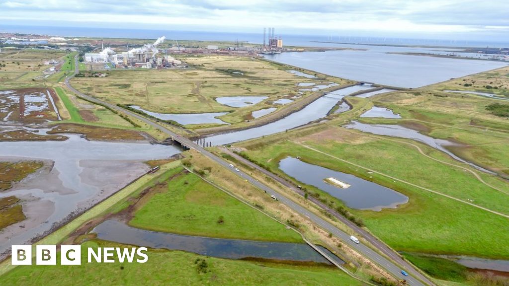 River Tees estuary flooding and wildlife schemes launched