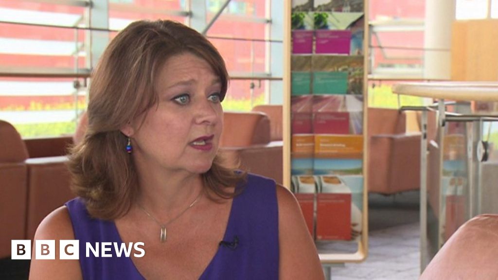 Plaid Cymru co-leadership wouldn't work says Leanne Wood - BBC News