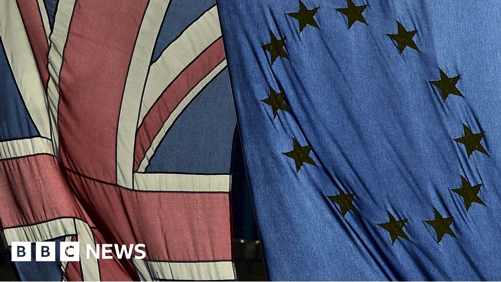 'Large segment of the British are authoritarian populist' - BBC News