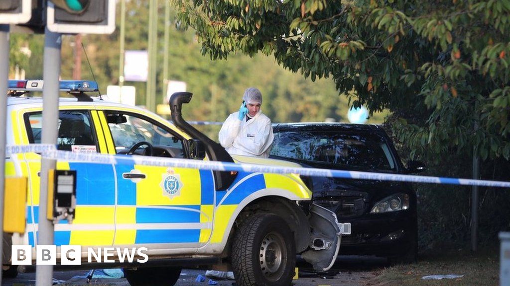 Littlehampton crash: Man in court after police officers hit by car ...