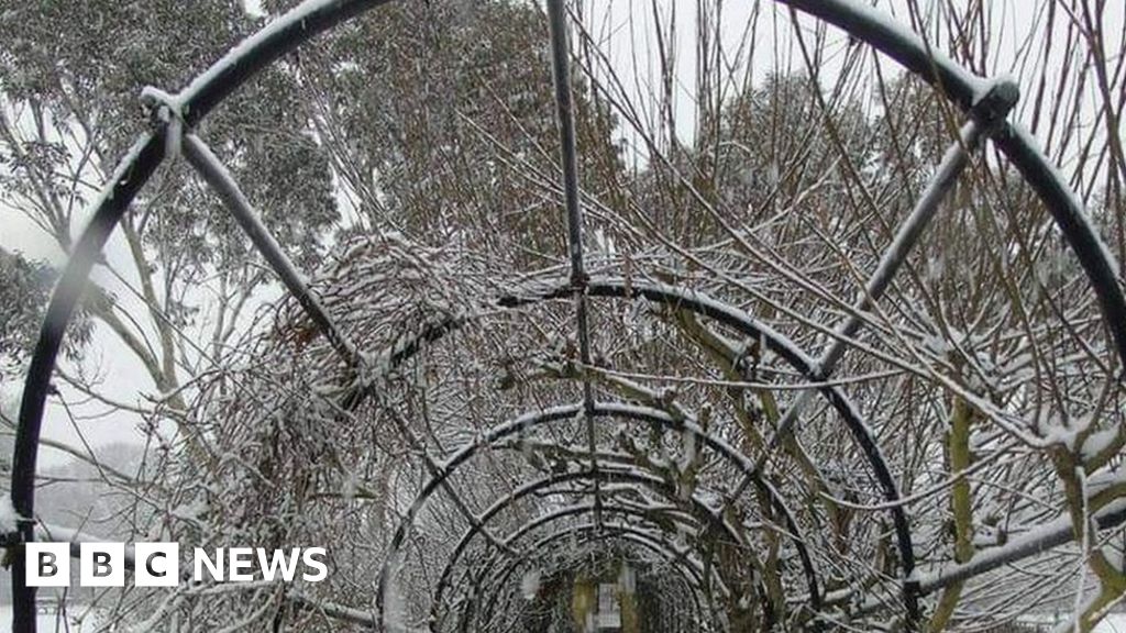 England's Big Picture: 4 - 10 January - BBC News