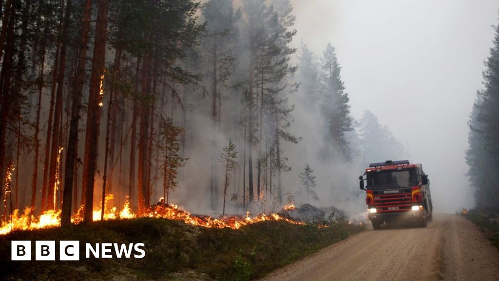 In pictures: Fighting the Swedish wildfires - BBC News