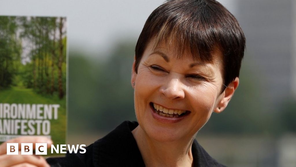 Guide to the parties: Green Party - BBC News