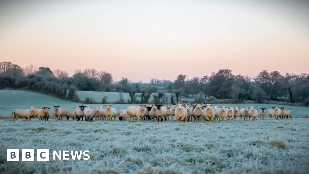 Katesbridge: NI hamlet breaks another cold record - BBC News