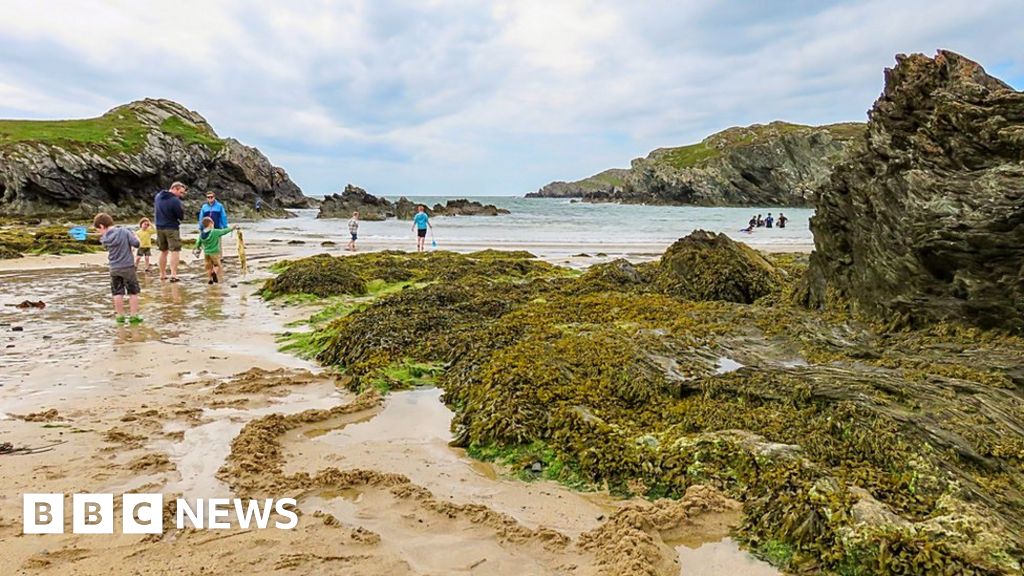 Bangor Uni in £1.7m coastal 'citizen scientists' project - BBC News
