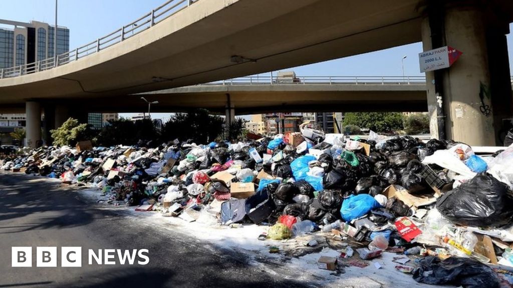 Lebanese cabinet split over Beirut rubbish solution - BBC News