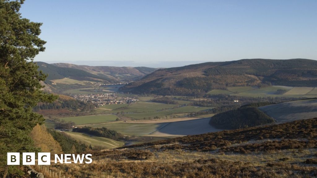 Views sought on Tweed Valley Forest Park's future