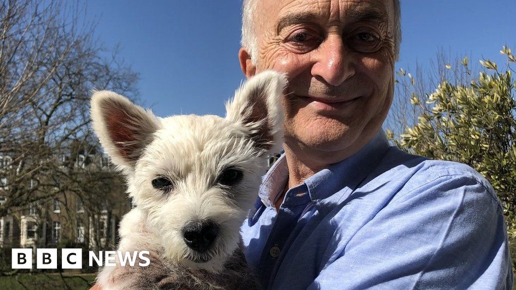 Sir Tony Robinson calls on people to adopt rescue dogs - BBC News