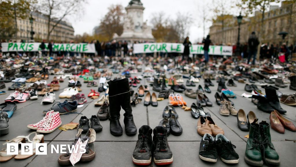 COP21: Paris attacks 'will help climate talks' - BBC News