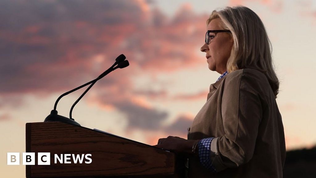 Liz Cheney: 'I will do whatever it takes to keep Trump from the oval ...