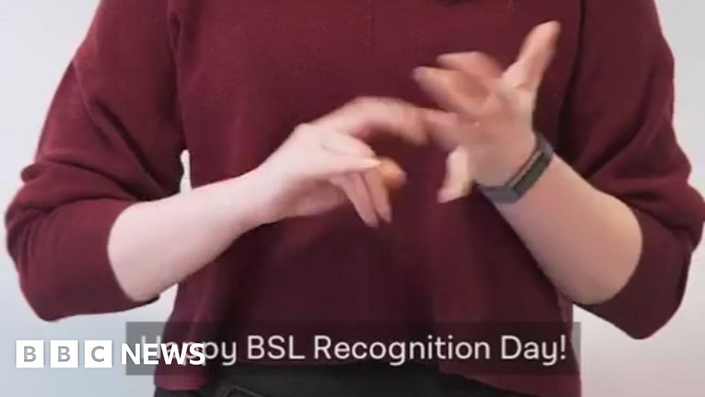 Labour's sign language video 'a turn-off'