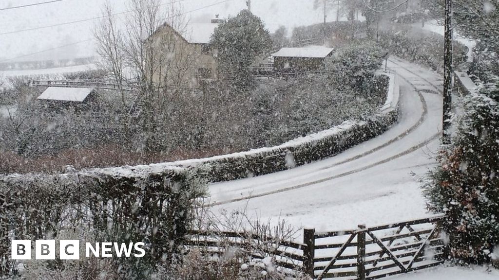 Snow day: How is Wales faring in the wintry weather?