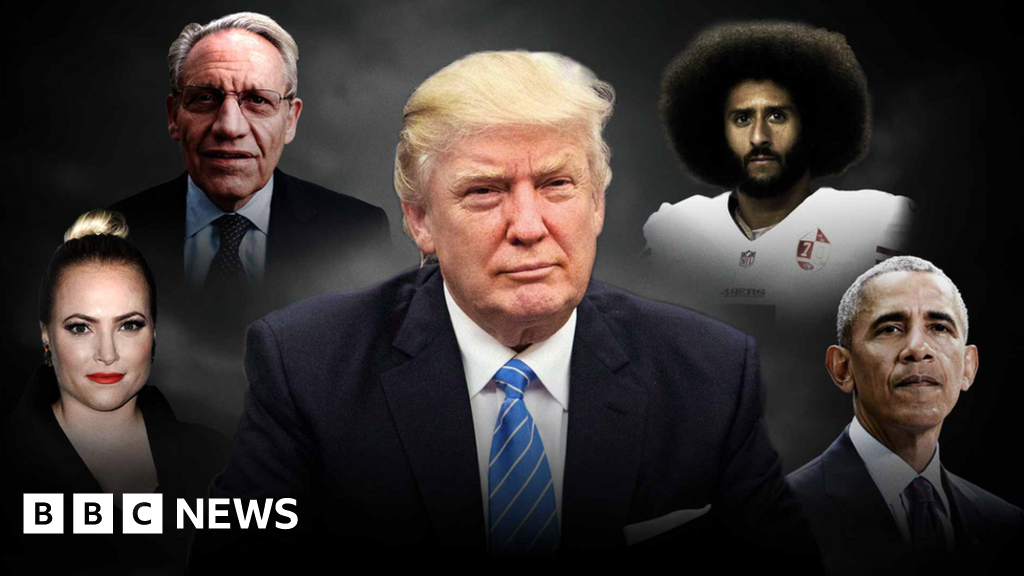 Resurgent anti-Trump 'resistance' defines a divided America - BBC News