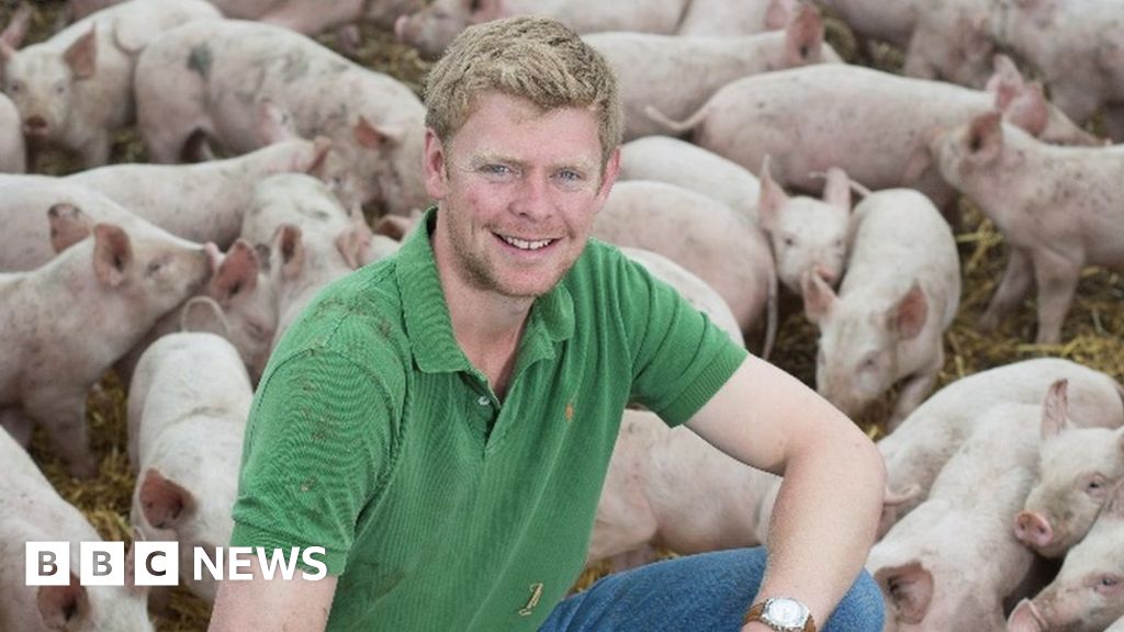 The pig farmer taking on Tesco - BBC News