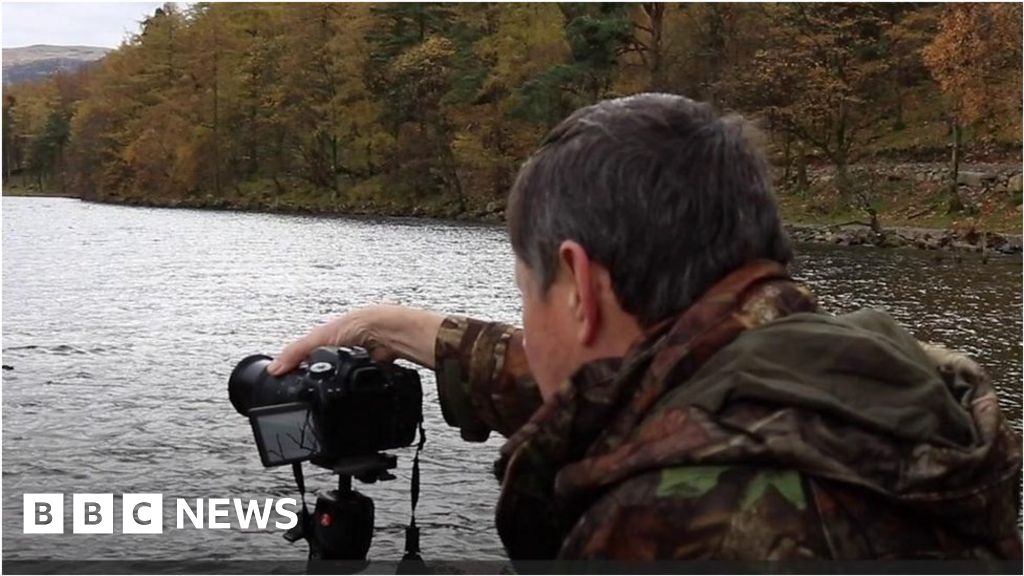 Photography 'helped save' veteran after PTSD - BBC News