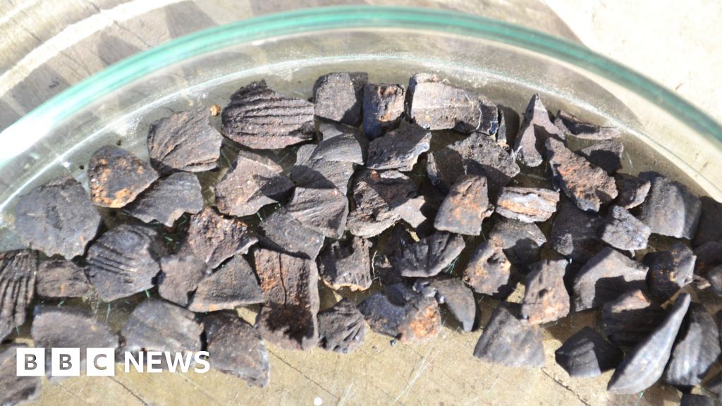 Nut shells found on Skye 'more than 8,000-years-old' - BBC News