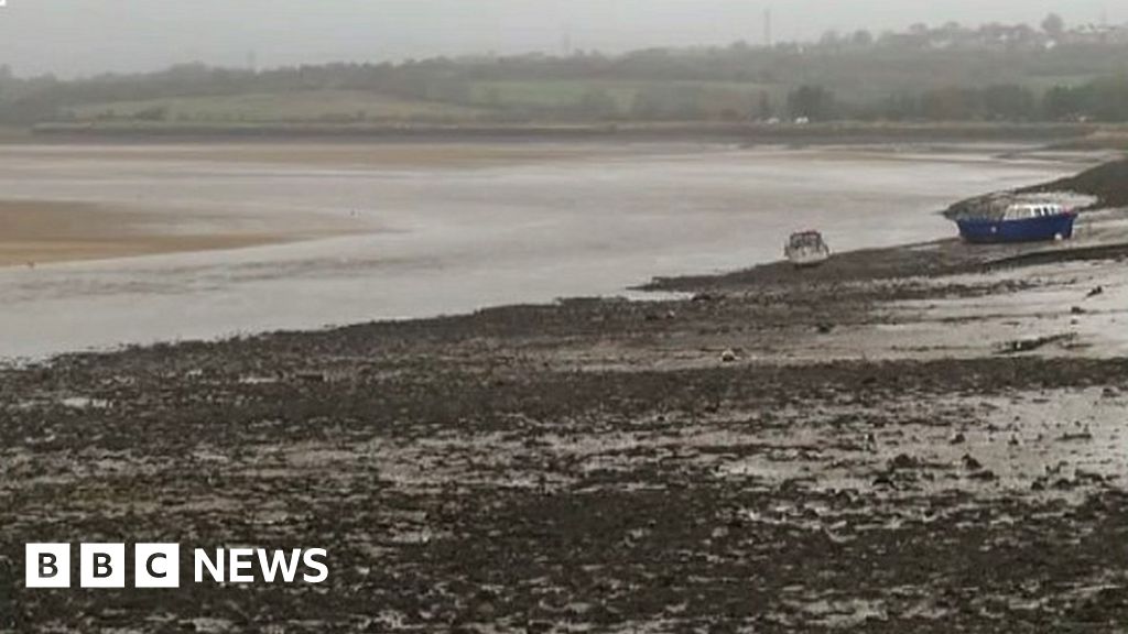 Burry inlet sea sewage breach - European Court of Justice - BBC News