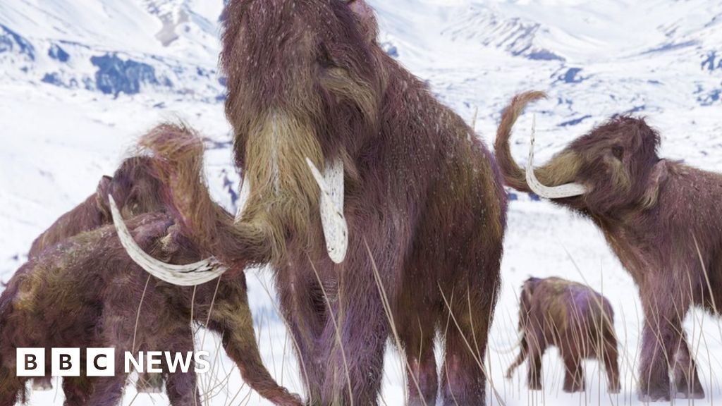 Mammoth kill linked to earliest Arctic settlers - BBC News