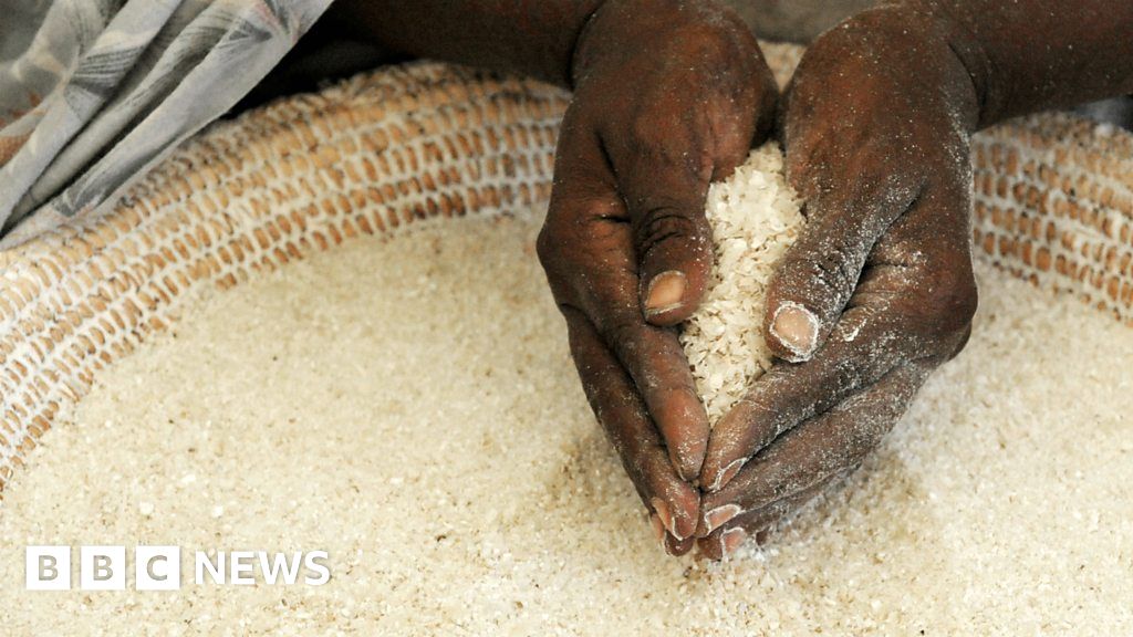 Poor harvest causes maize shortages in Kenya - BBC News