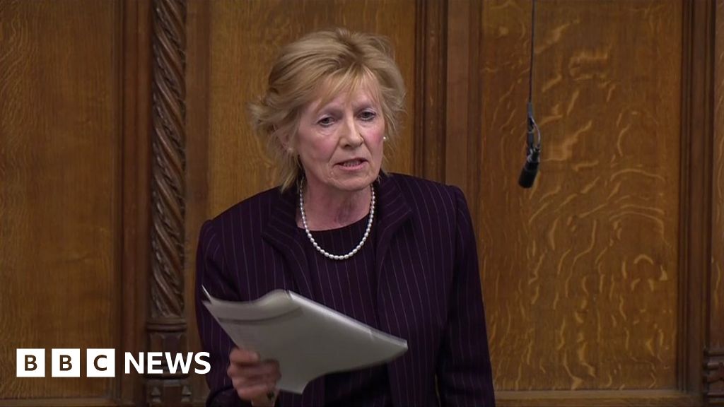 Brexit: Lady Hermon says DUP 'does not speak for majority in NI' - BBC News