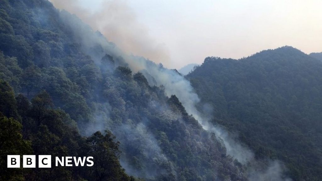 India fires: Rainfall douses deadly blazes in Uttarakhand - BBC News
