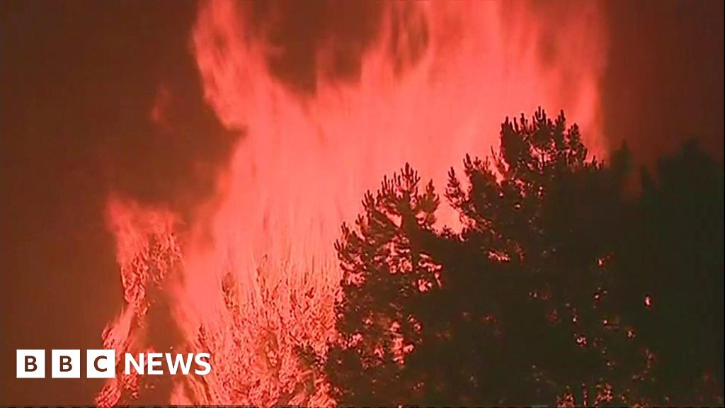 Portugal forest fire: Survivor Gareth Roberts on escaping the flames