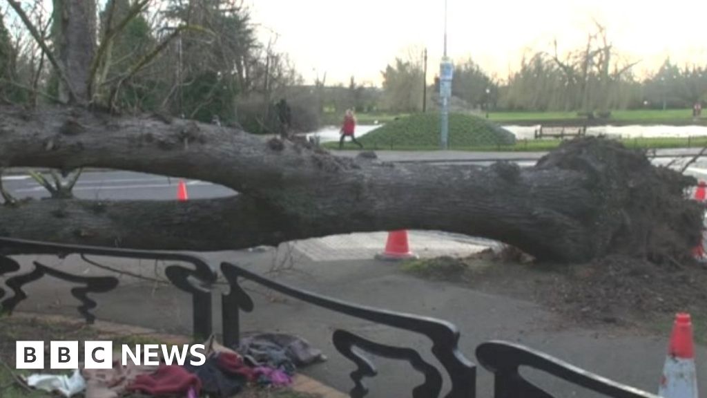 Bedford: Woman with baby hit by falling tree amid Storm Eunice - BBC News