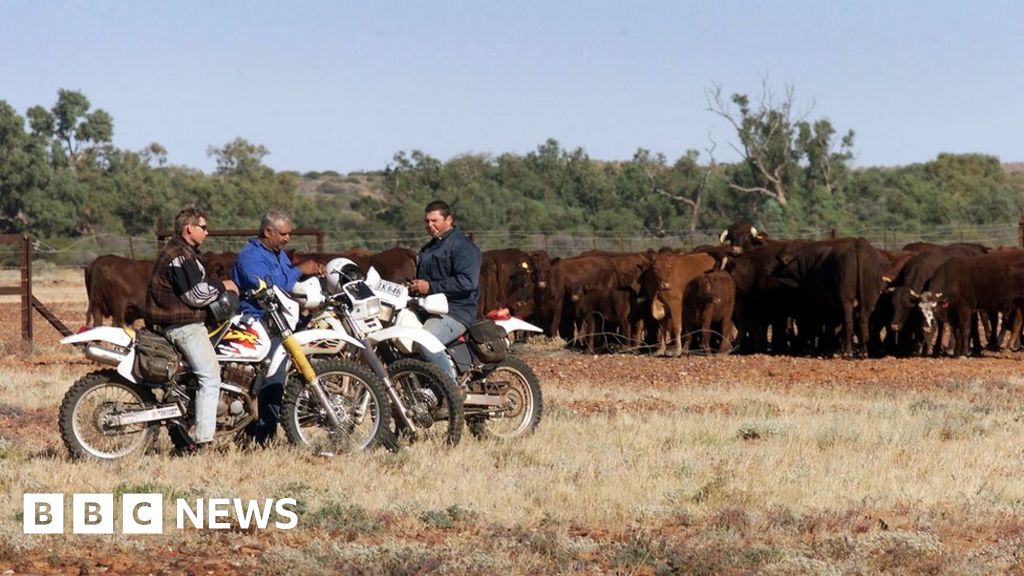 Australia blocks sale of enormous Kidman farmland holding - BBC News