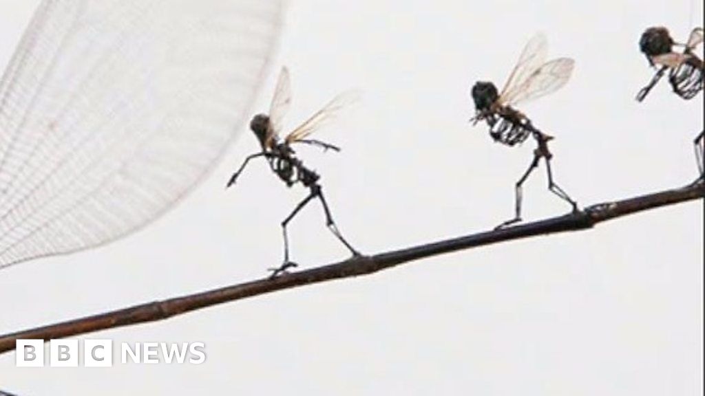 Artist Tessa Farmer unveils sculptures made from dead insect carcasses ...