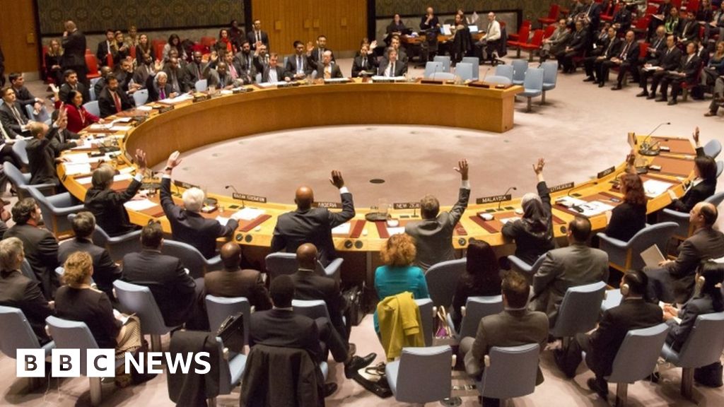 UN resolution on IS 'extraordinary step' - BBC News