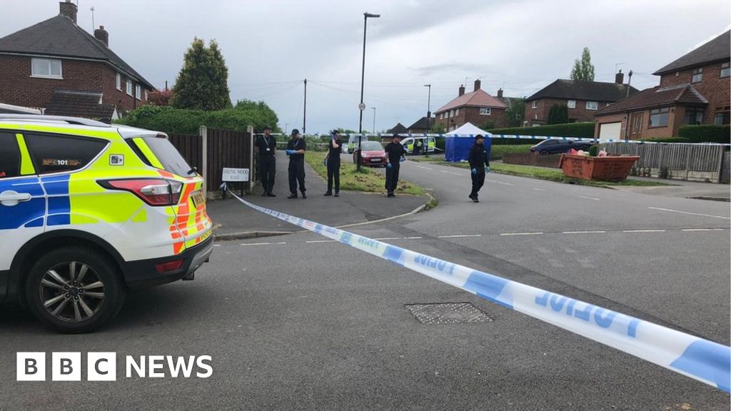 Sheffield murder arrests as fatal stab victim, 19, is named - BBC News