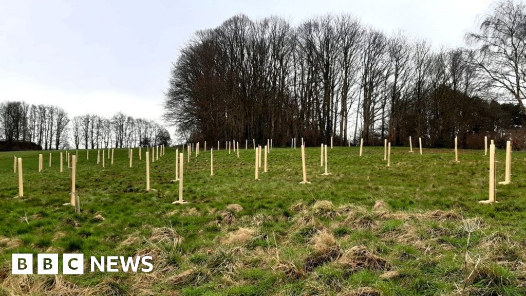 Bristol Water plants 900 trees to enhance habitats