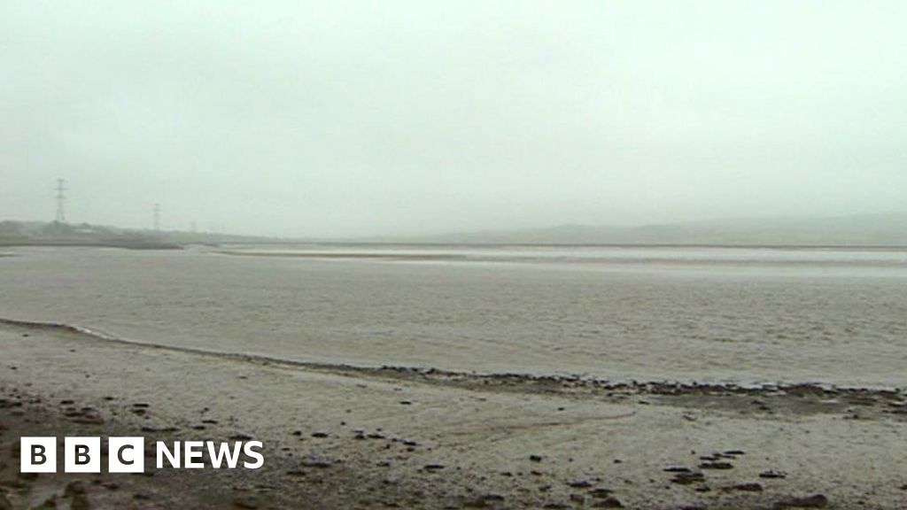 Burry Inlet sewage European court case looms - BBC News