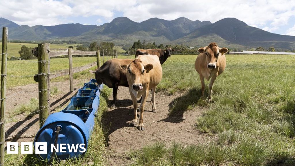 President Trump Is The South African Government Seizing Farmers Land