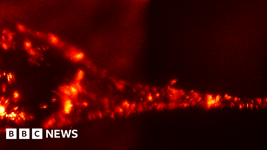 Comet Wild 2 dust 'ballistics' probed in 3D - BBC News