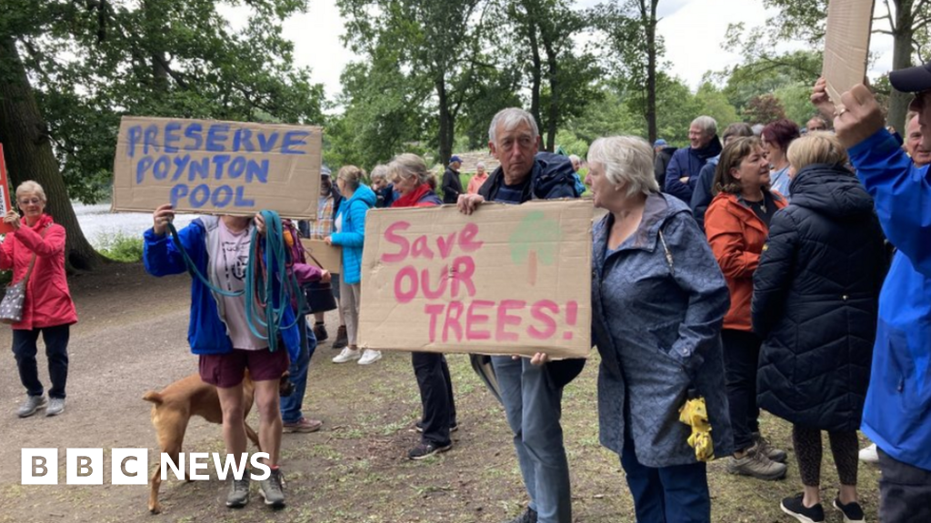 Protest over council's plan to cut down 35 trees at beauty spot - BBC News