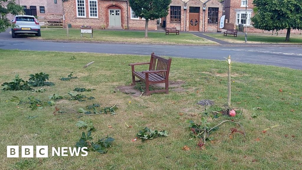 Vandals destroy Upper Poppleton teenager's memorial tree - BBC News