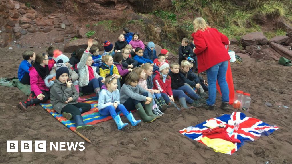 Shoreline lessons - how beach trips boost learning - BBC News
