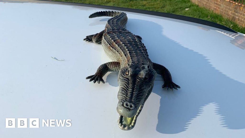 Plastic alligator in Sheerness prompts Kent Police callout