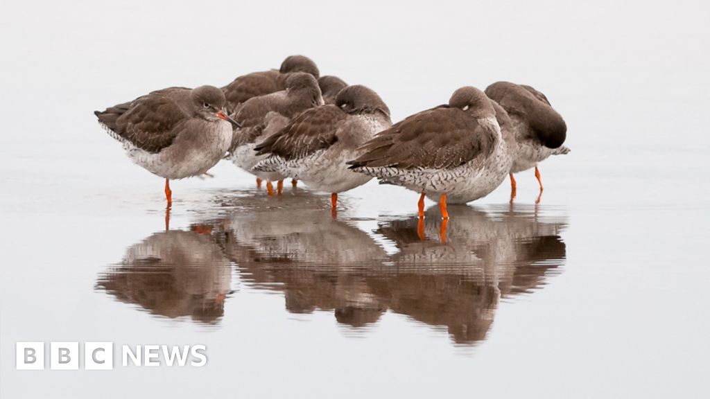 Your pictures of Scotland: 13-20 November - BBC News