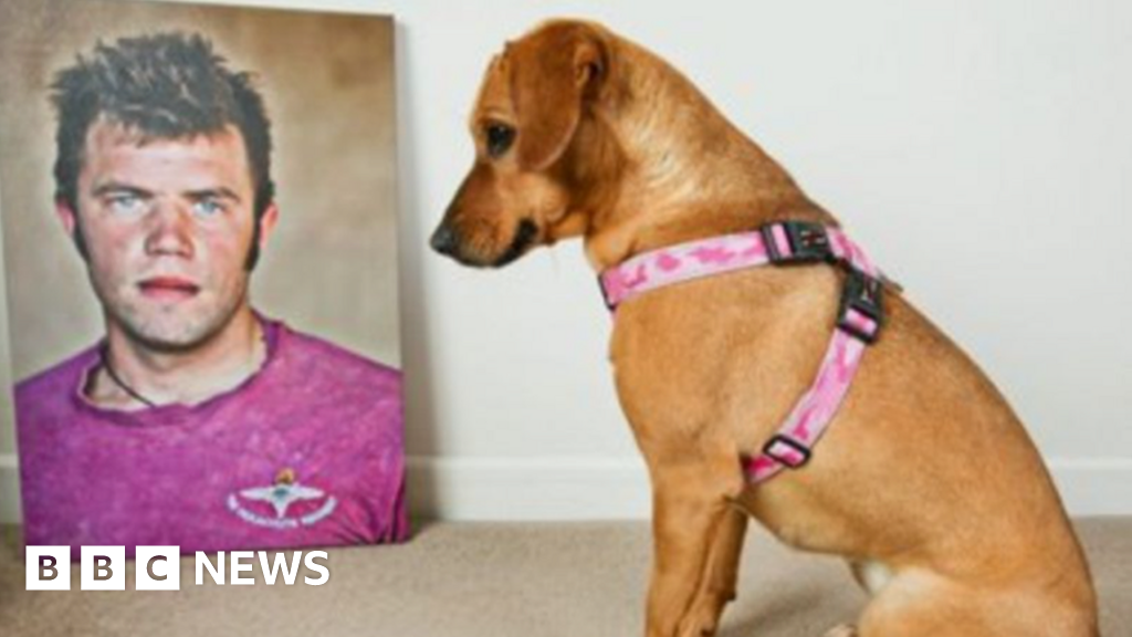 Conrad Lewis: Soldier's dog wins inspirational pet award - BBC News