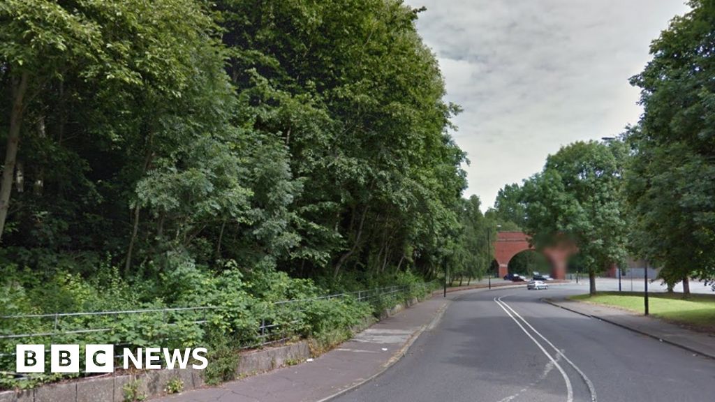 Murder probe after body found in Manchester woodland