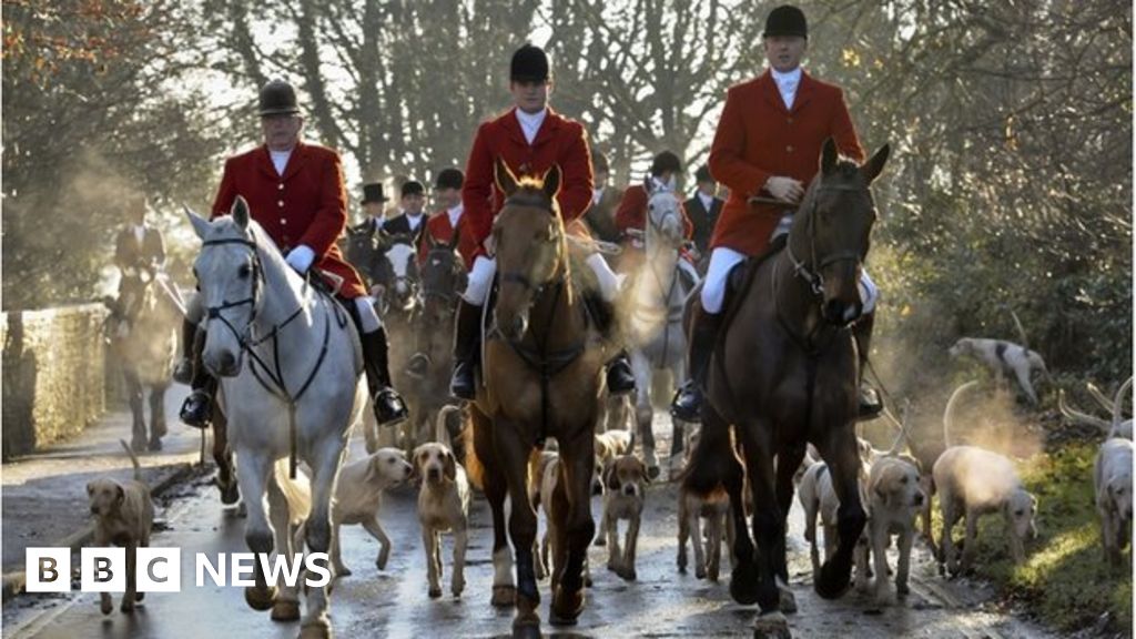 SNP will vote to keep English fox hunting legislation - BBC News