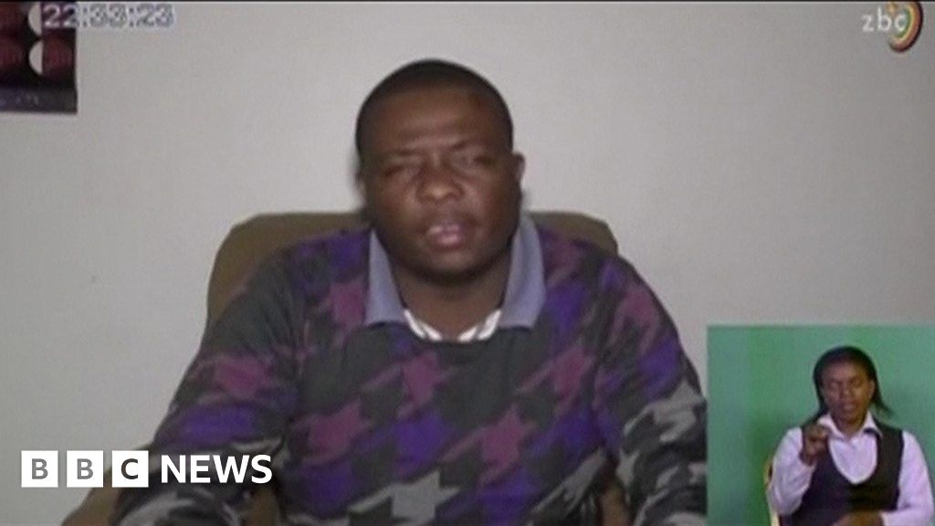 Kudzai Chipanga, head of Zimbabwe's Zanu-PF youth wing, apologises for ...