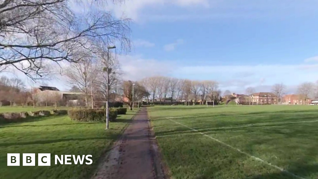 Police investigate rape in Taunton's Hamilton Park - BBC News
