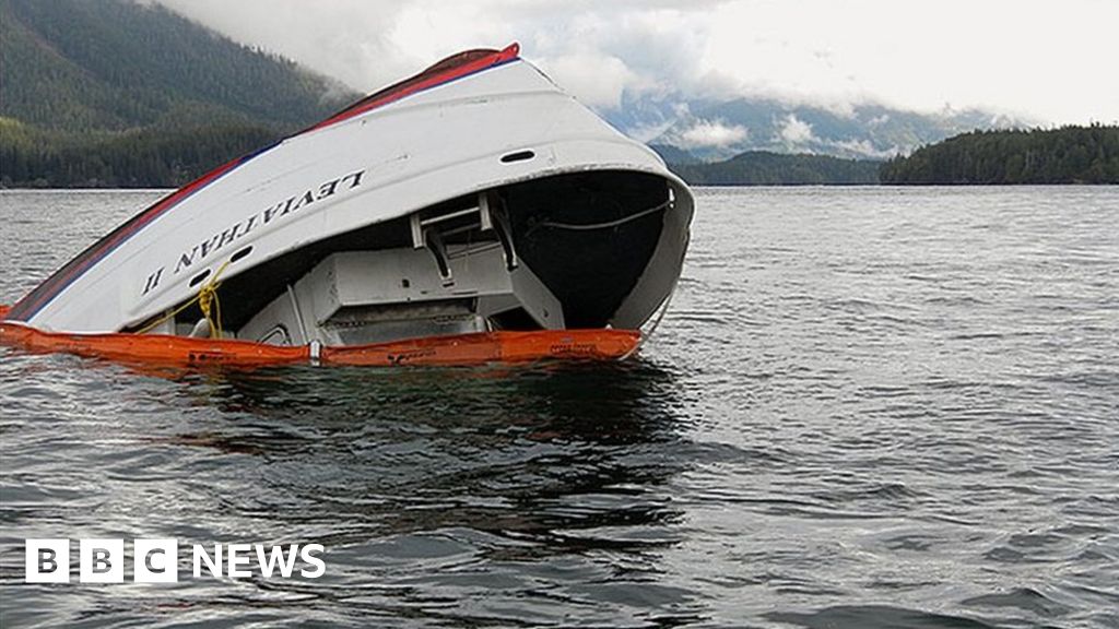 Leviathan II whale-watching tragedy caused by breaking wave - BBC News