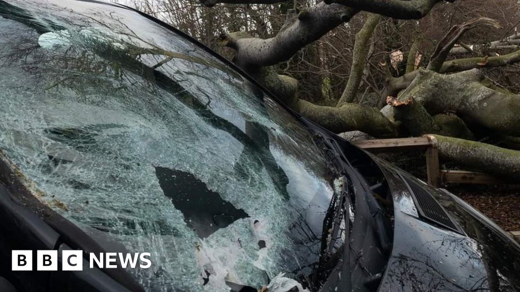 Family escape injury after tree falls on their van - BBC News